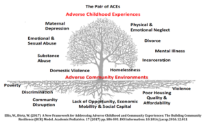 When a Picture Tells the Story: The Pair of ACEs Tree - Moving Health ...